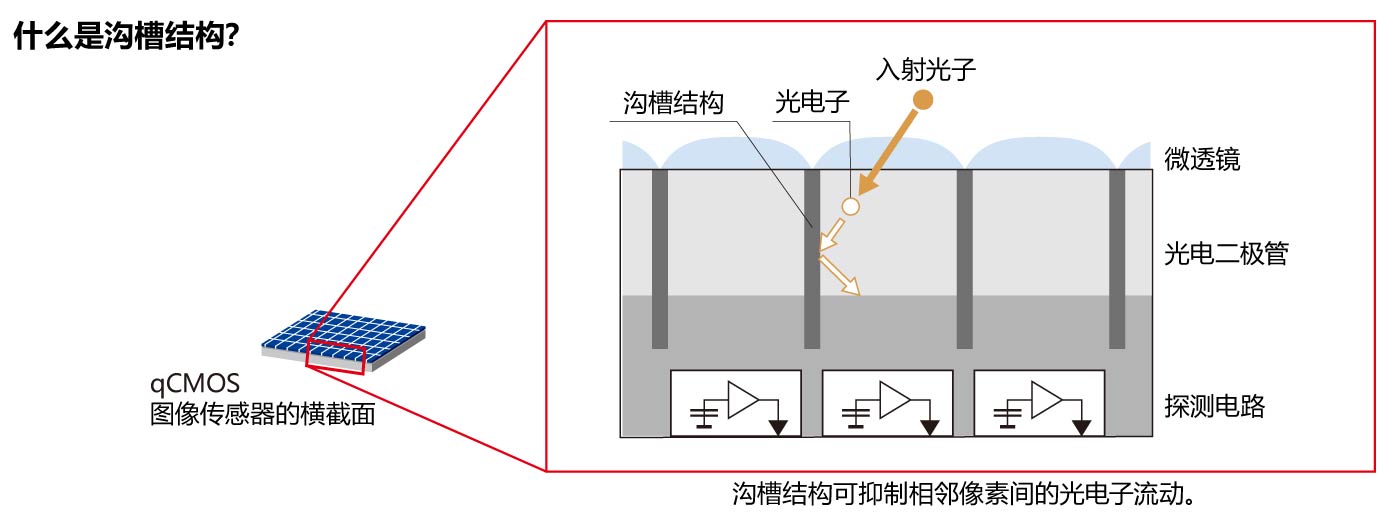 特点 | qCMOS 相机 | 滨松光子学